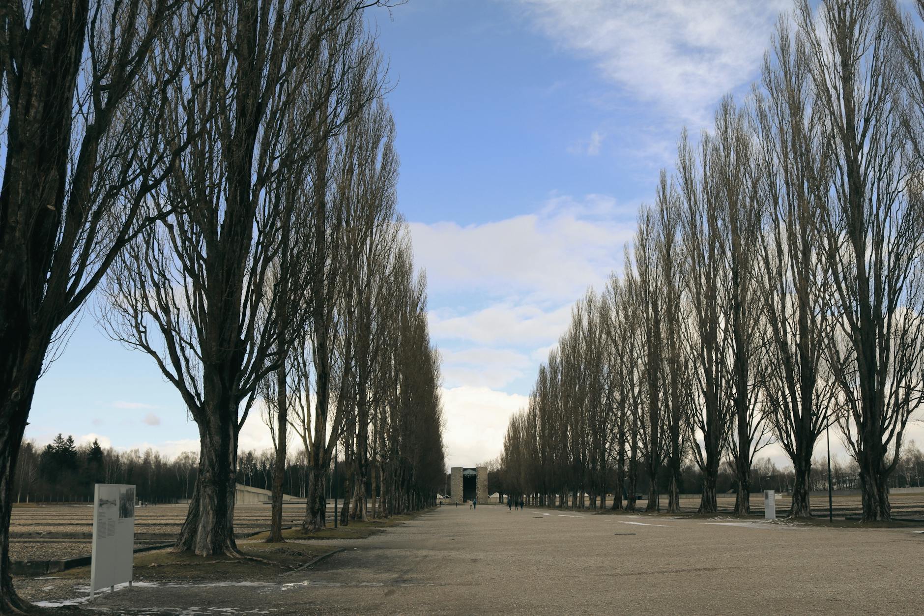Tree-lined path at Dachau Concentration Camp Memorial site