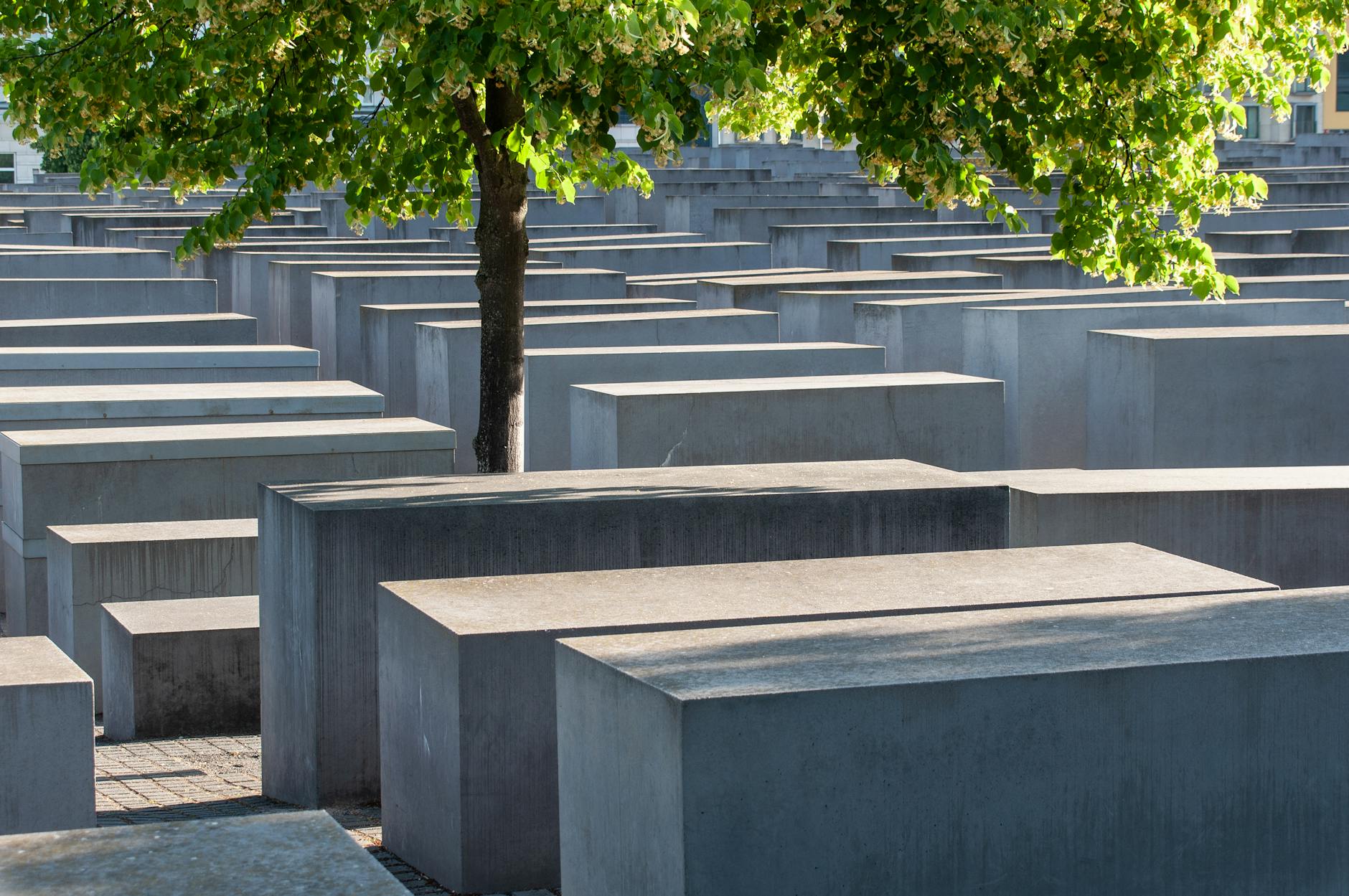 Holocaust Memorial in Berlin with solitary tree
